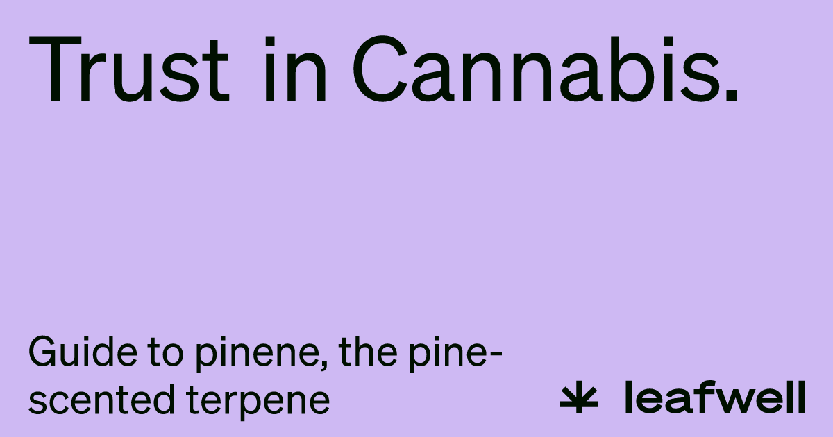 What is pinene? Terpene benefits and uses